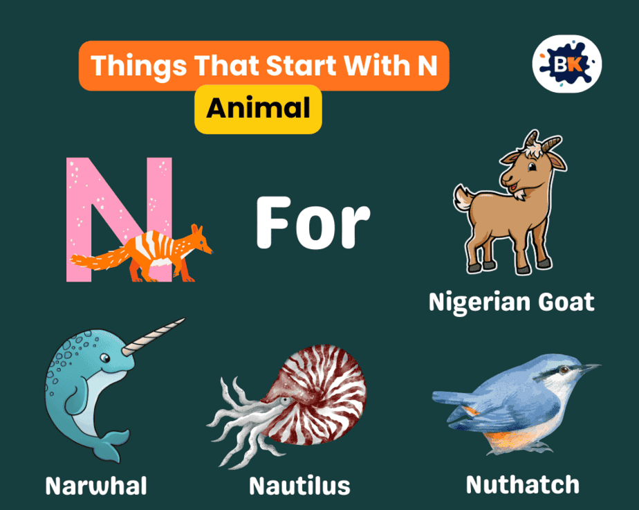 objects that start with ni
