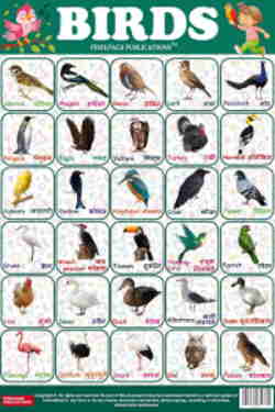 birds chart hd