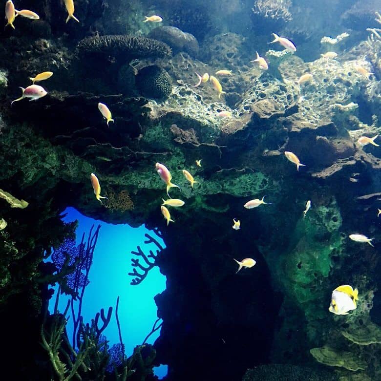 things that open late