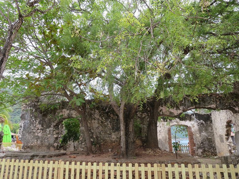 Labadee Haiti Fence