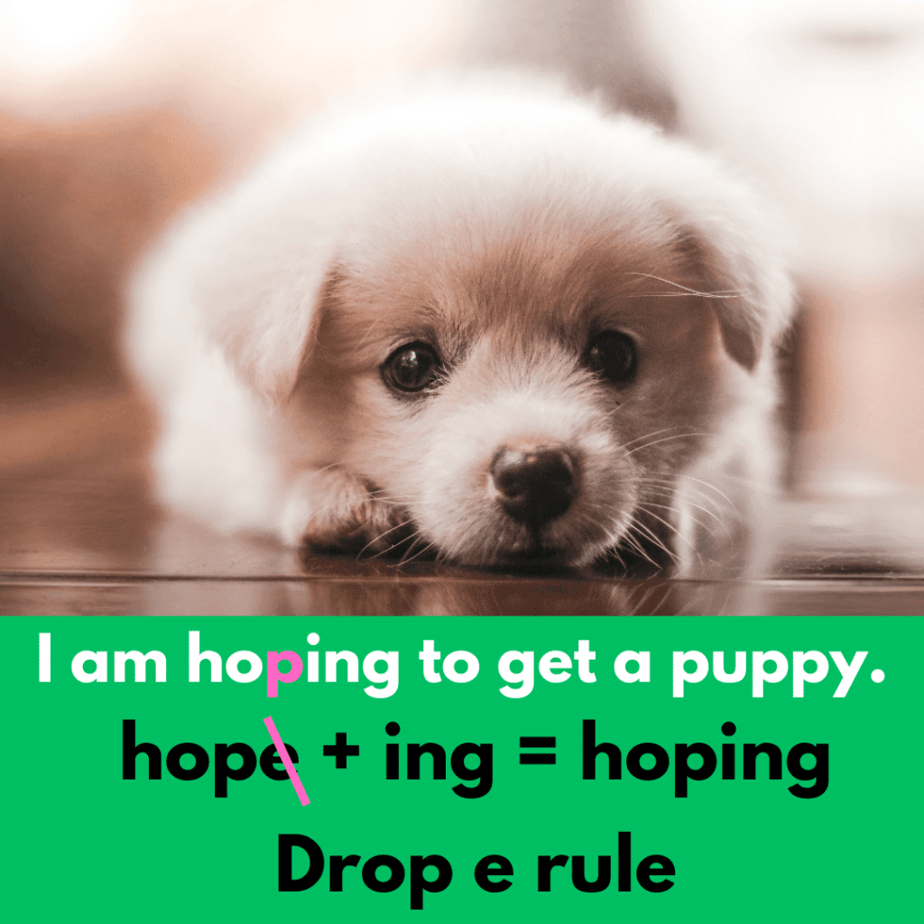 puppy sentence examples