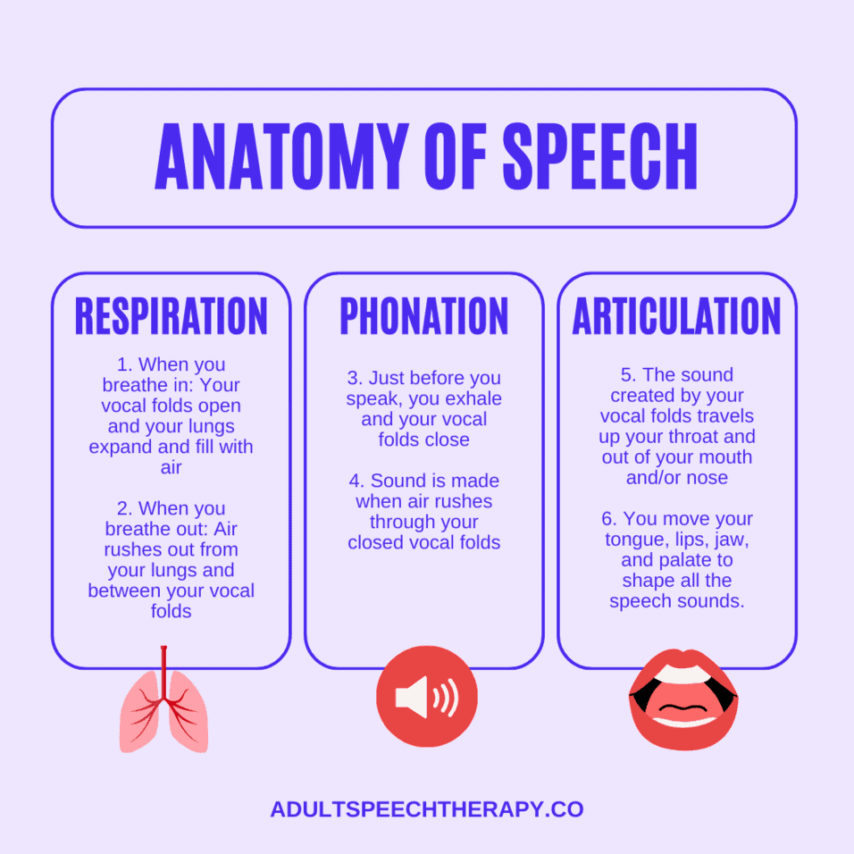 stop stuttering techniques