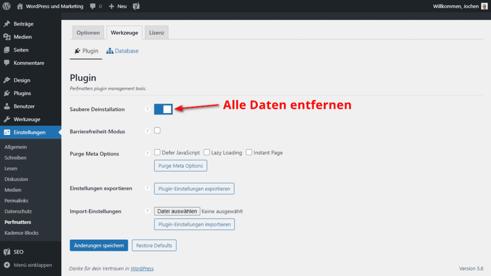 perfmatters settings