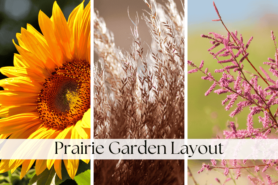 Prarie Garden Design Plan