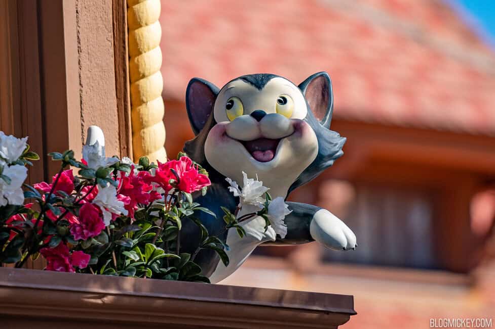 figaro mickey mouse cat