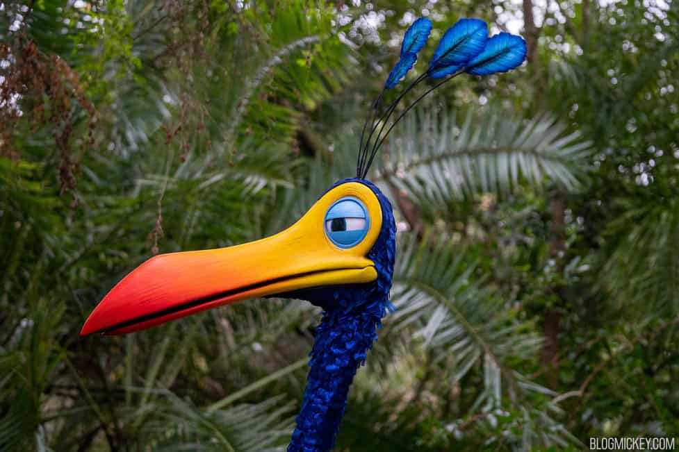 What is the Bird from Up - Birds