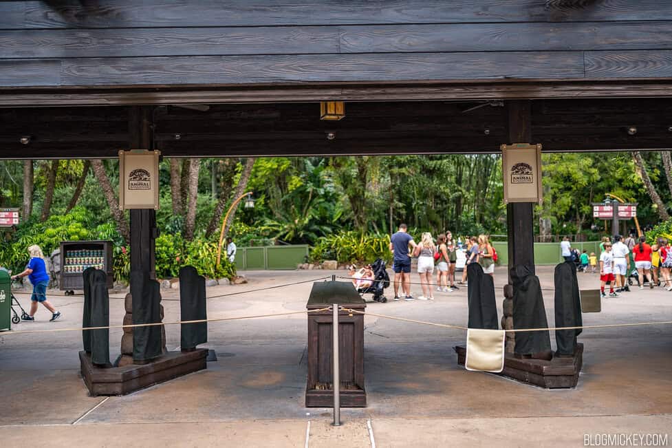 Animal Kingdom Sign