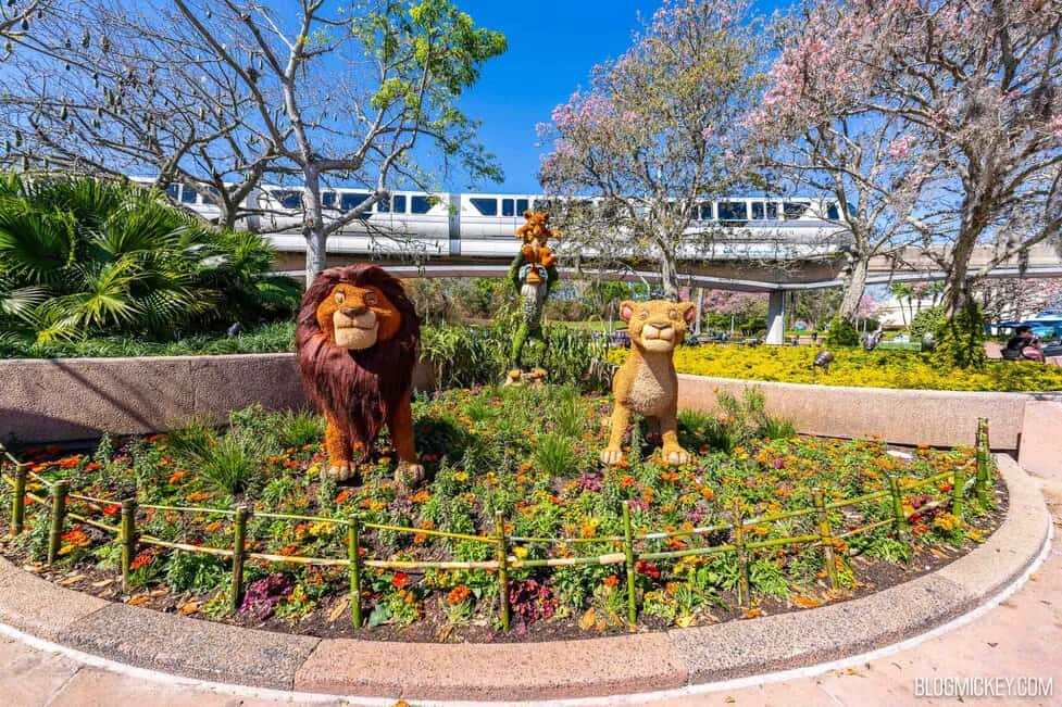 producers plants in the lion king