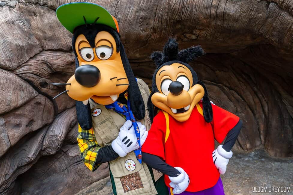 Esquema De Disney Goofy