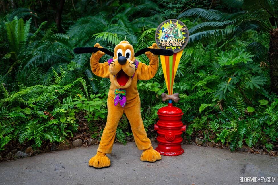 pluto disney world
