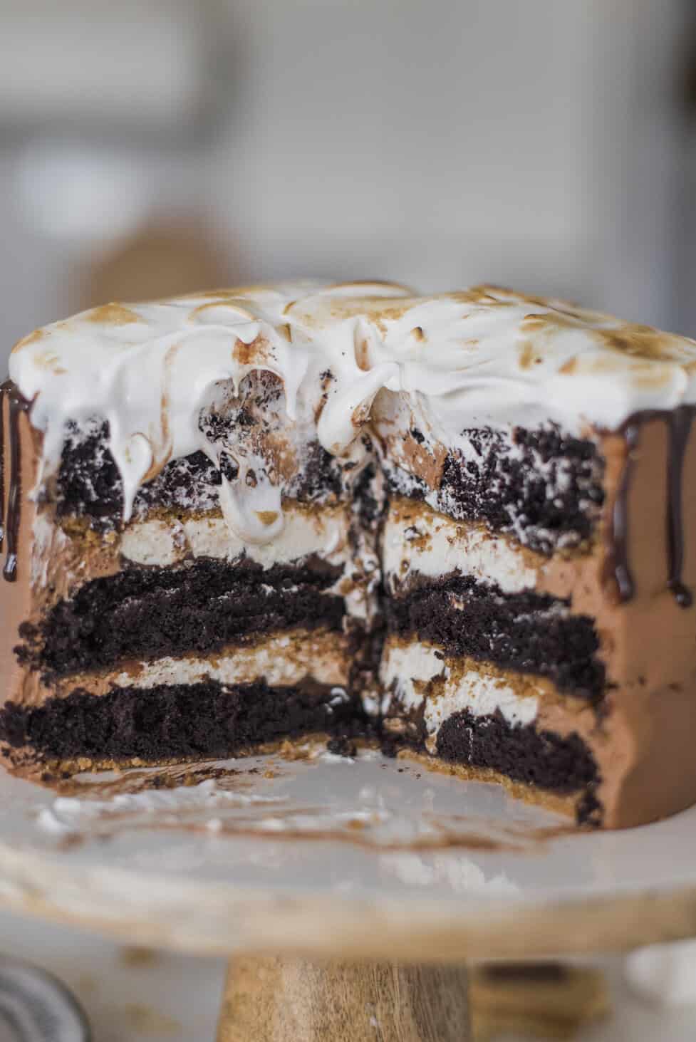 single layer s'mores cake