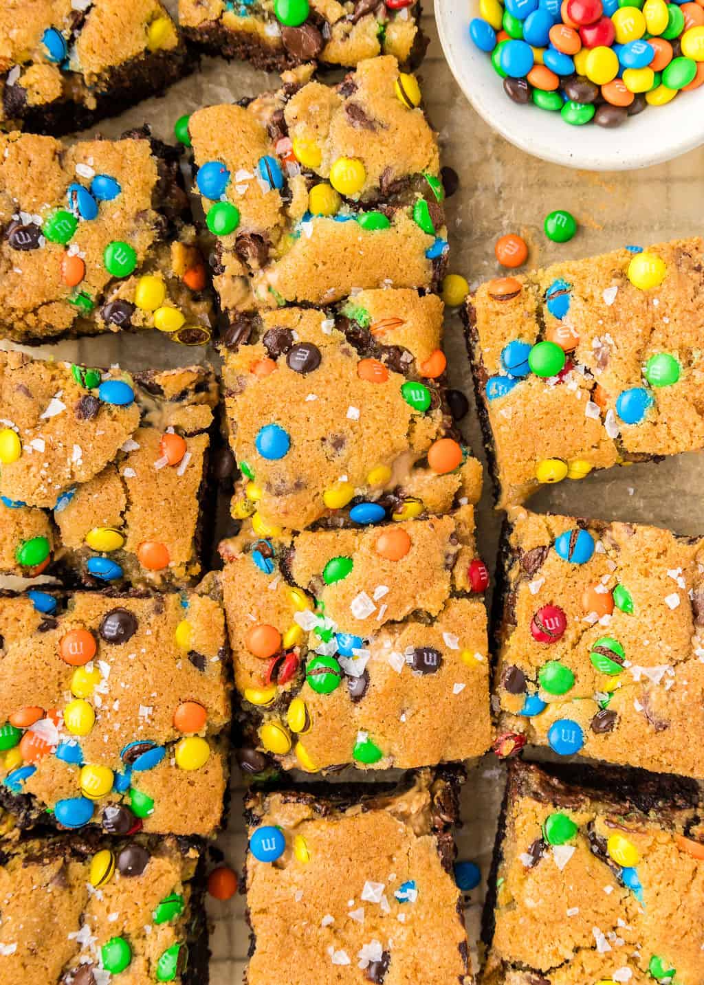 playing with brookie