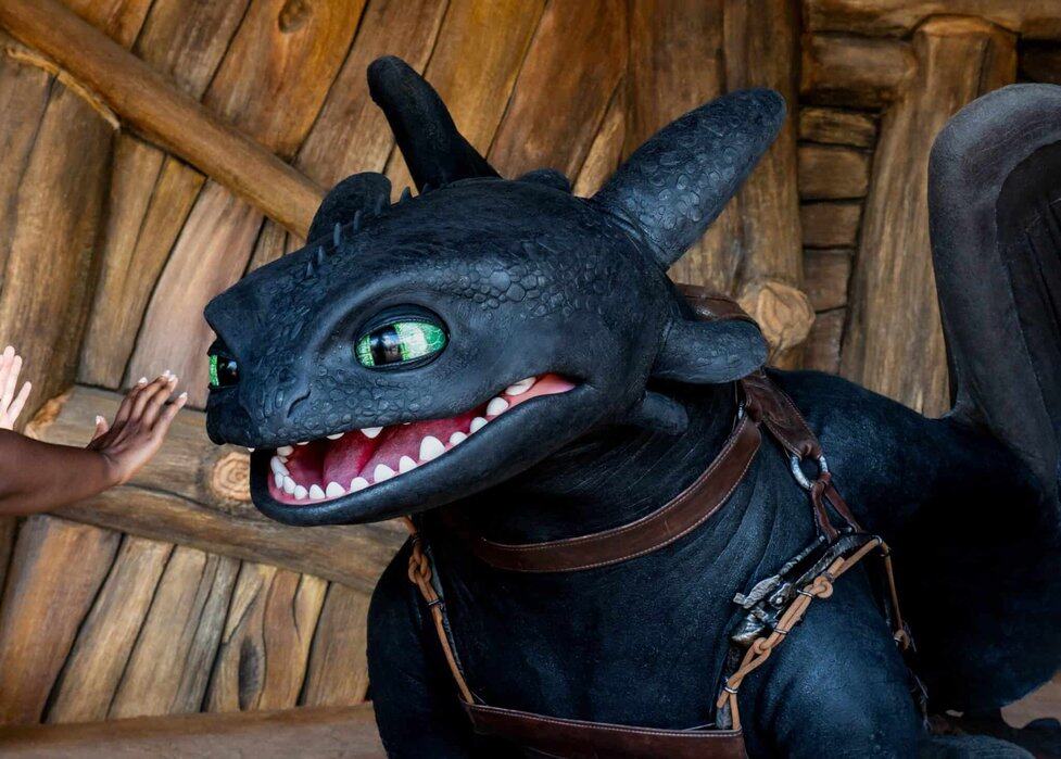 toothless flying dragon