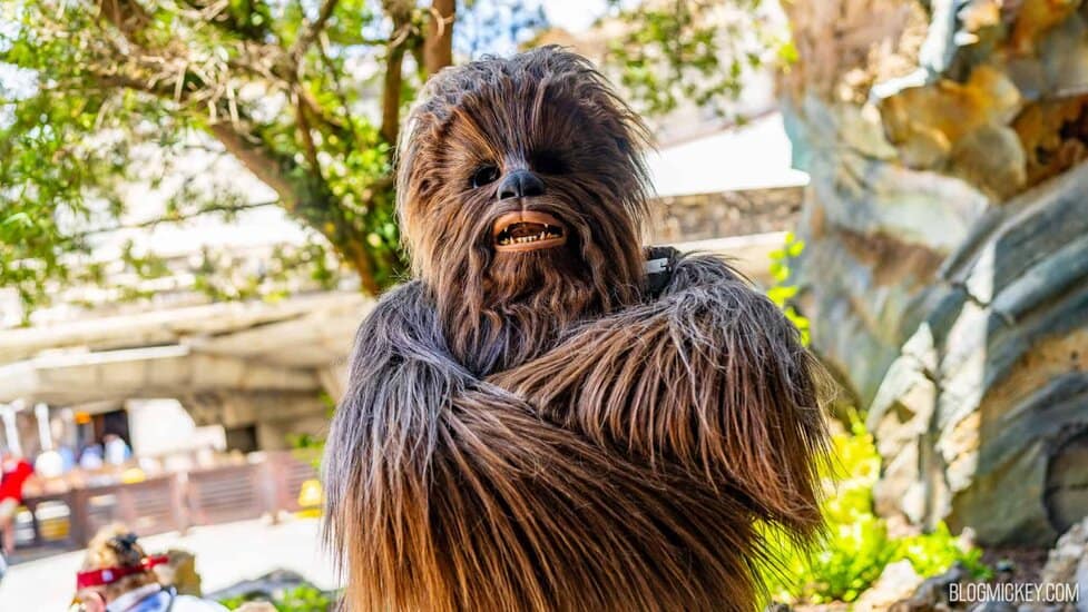 chewbacca method