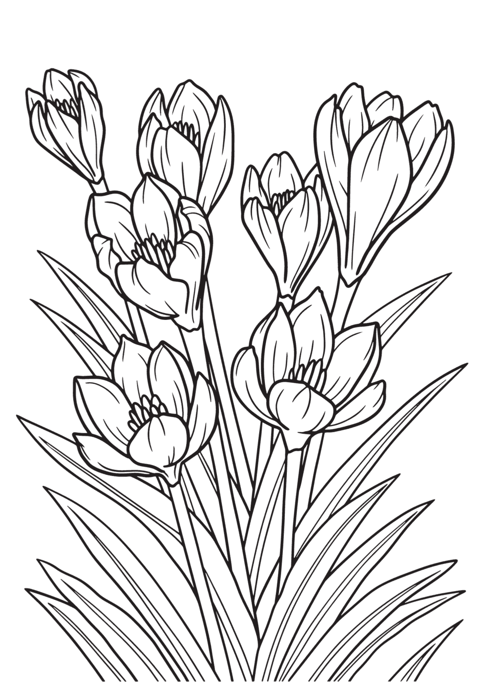 small flowers coloring sheet