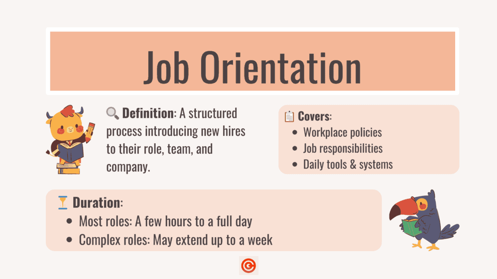 Orientated Definition What Is Market Orientation: Definition,