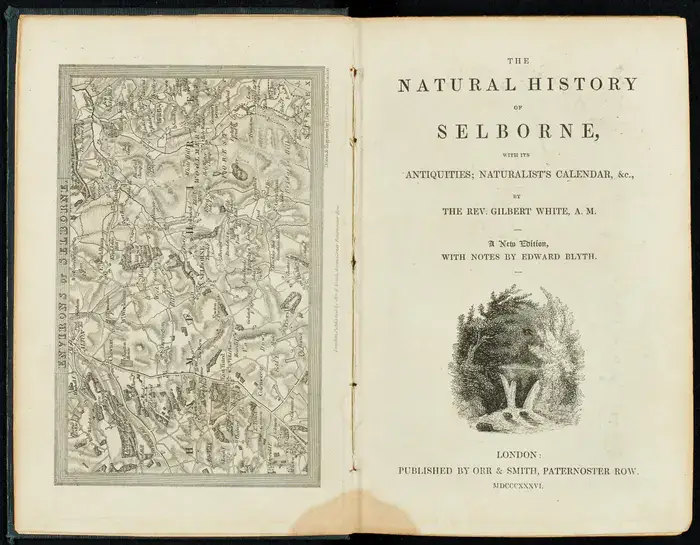 Natural History And The Selborne Society – Ealing Wildlife Group