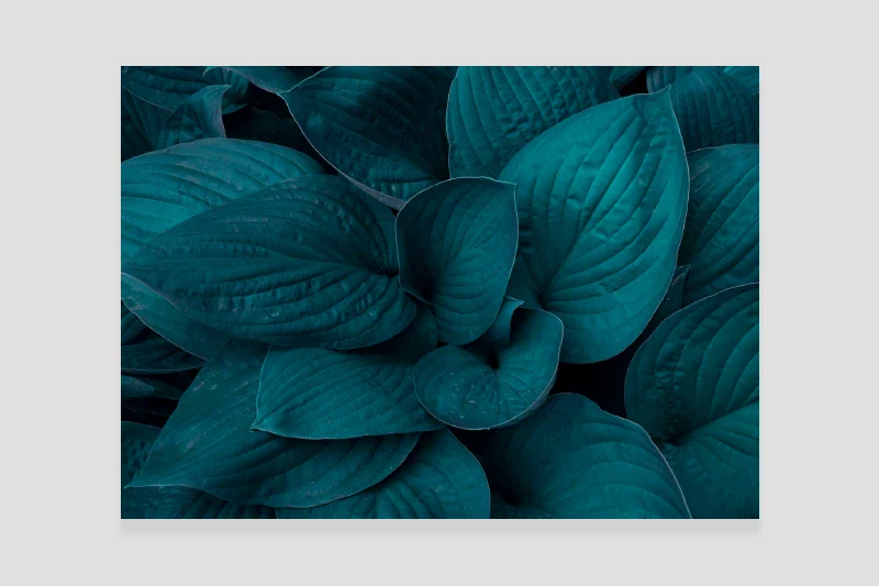 Digital Foiling – High-Quality Metallic Finish Printing