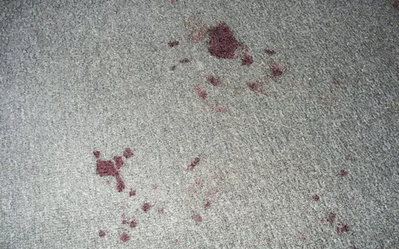 What is the Best Way to Clean Carpets? | JP Carpet Cleaning