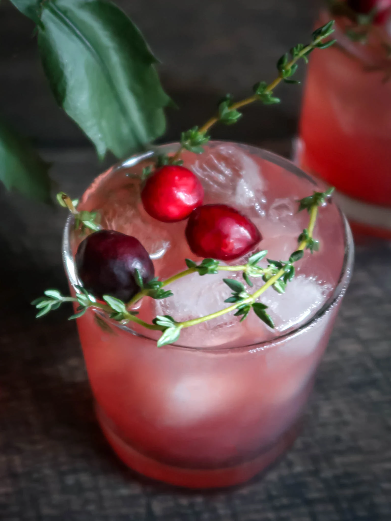 Refreshing Cranberry Gin and Tonic Cocktail Recipe