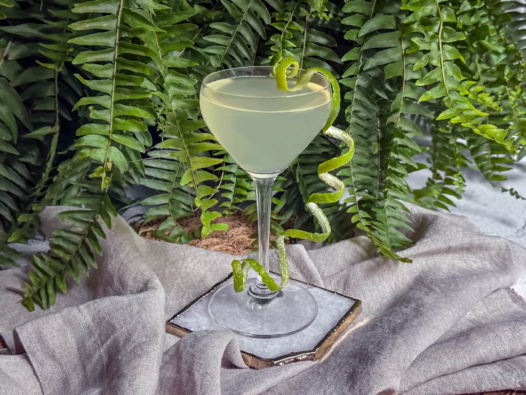 Easy French Gimlet Recipe with Gin & Elderflower