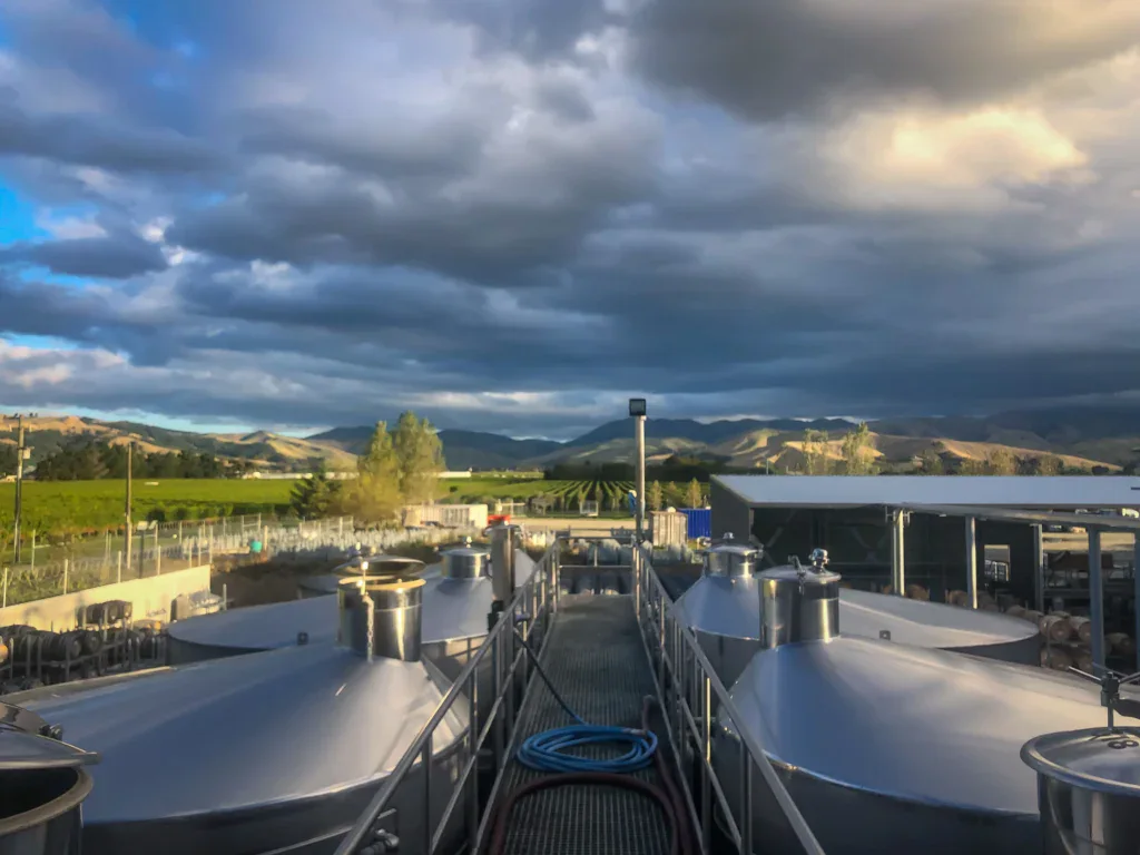 The Difference Between a Winery vs Vineyard Explained