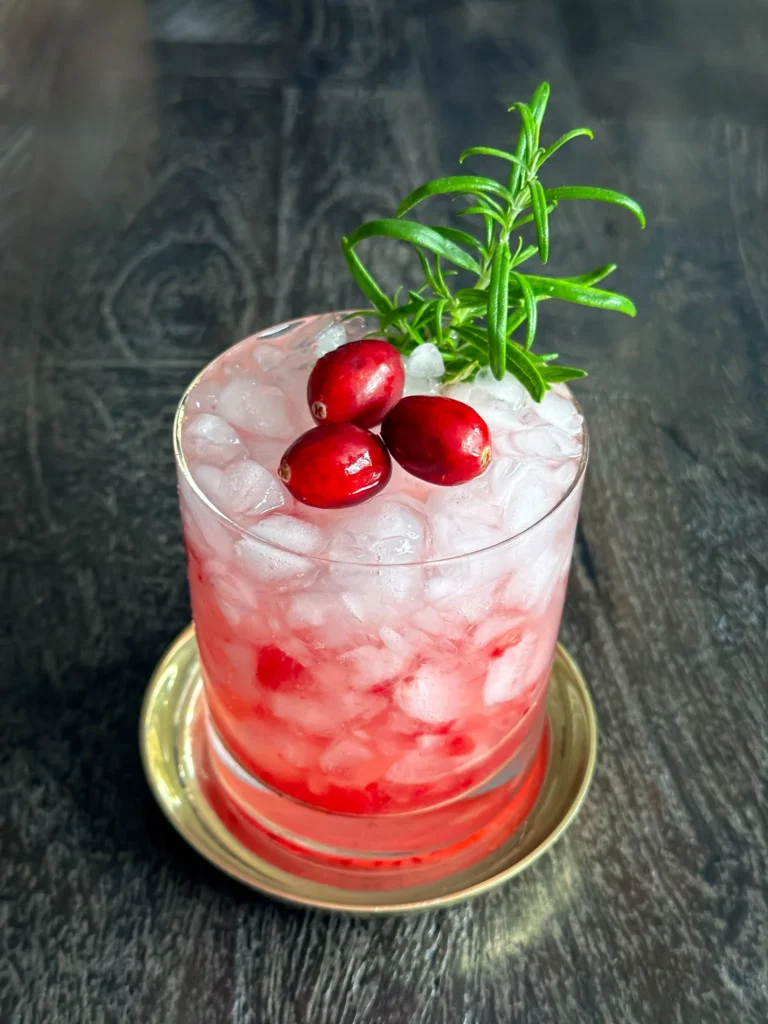 Refreshing Cranberry Gin and Tonic Cocktail Recipe