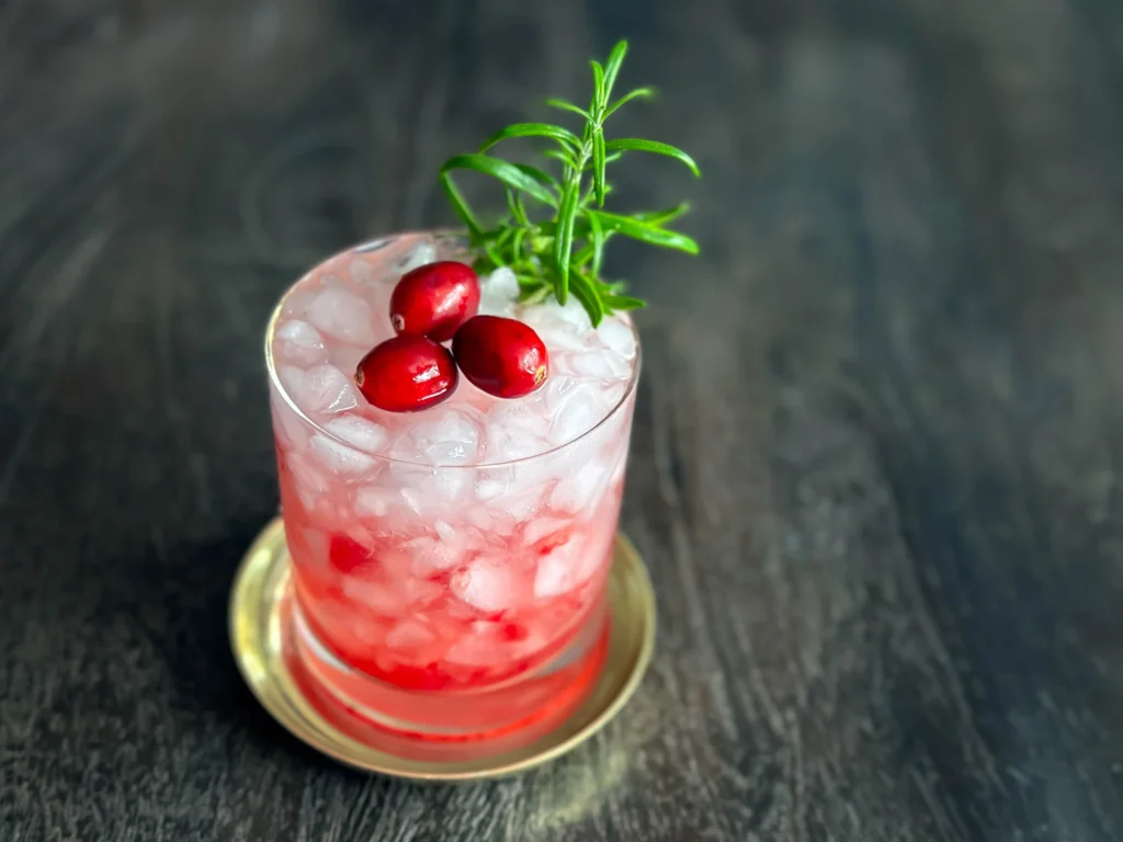 Refreshing Cranberry Gin and Tonic Cocktail Recipe