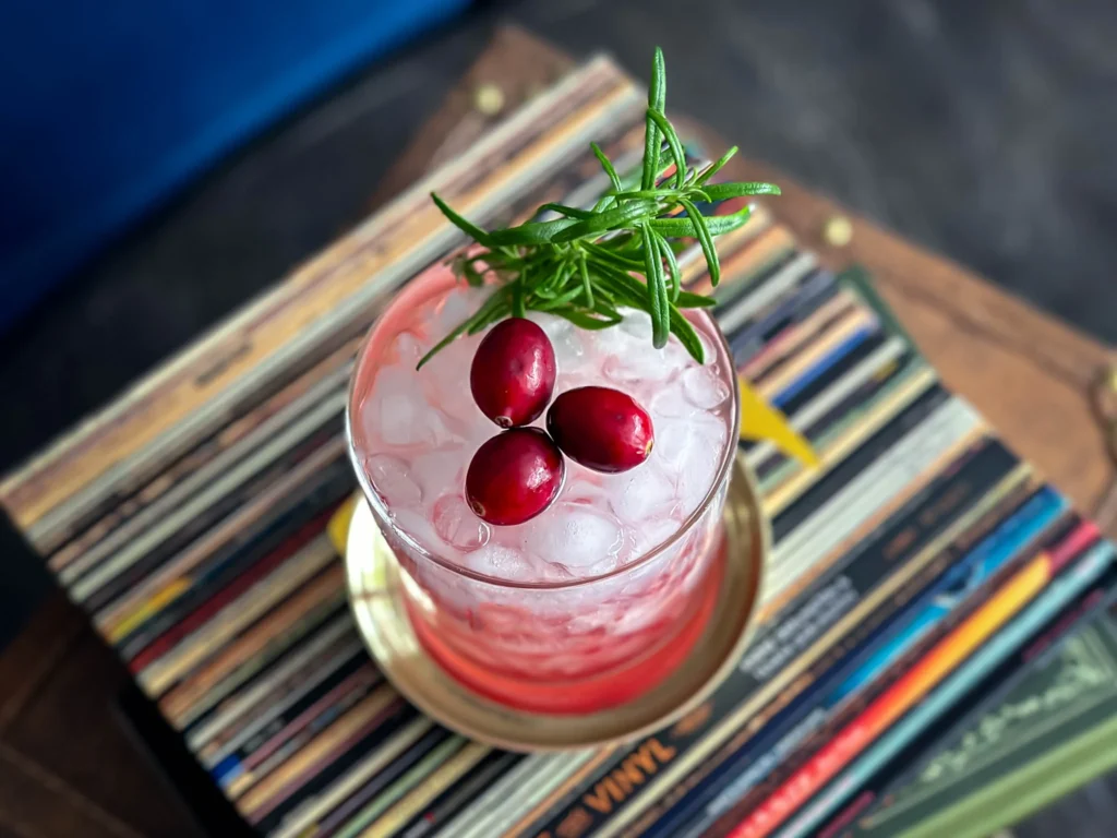 Refreshing Cranberry Gin and Tonic Cocktail Recipe