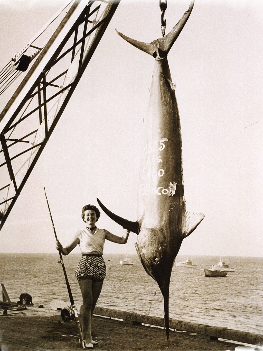 World Record Pacific Sailfish