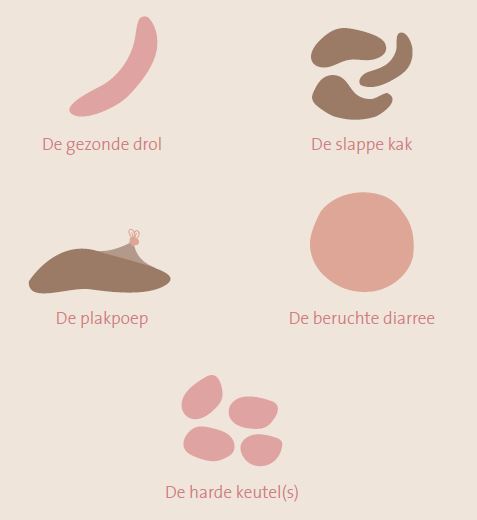 Poep Vormen Wat Voor Kleur Heeft Jouw Poep?