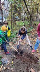Trees for the Balkans: Tree planting campaign with school children ...