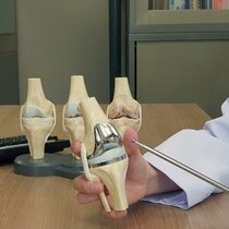 action potential 3d animation