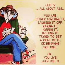 34 Ways To Use The Word Ass Idioms Slang And Collocation Reallife English