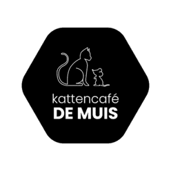 Alle Kattencafé's In Nederland - Kat.nl