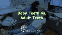 Resource Videos Archive - Where Smiles Grow