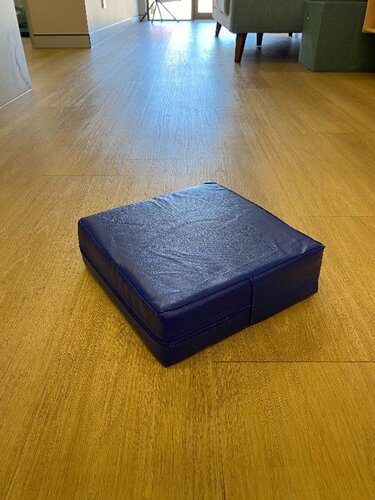 Vibrating Cushion - Recommended Resource