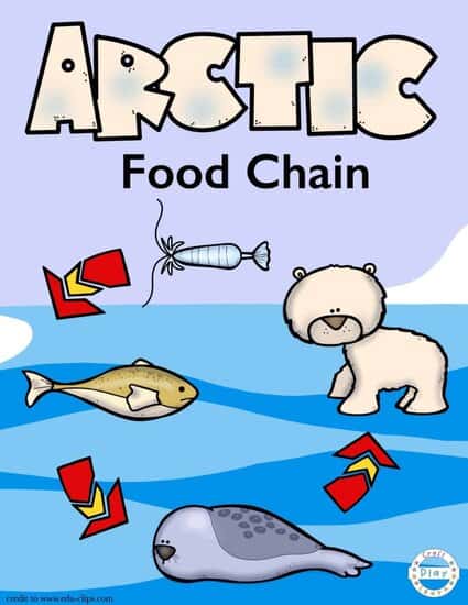 Coloring Pages Food Chain