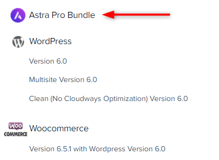 How To Build a WordPress Website Using Cloudways and Astra