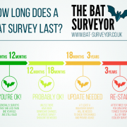 bats standing advice