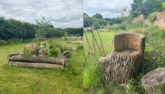 dryad tree specialists