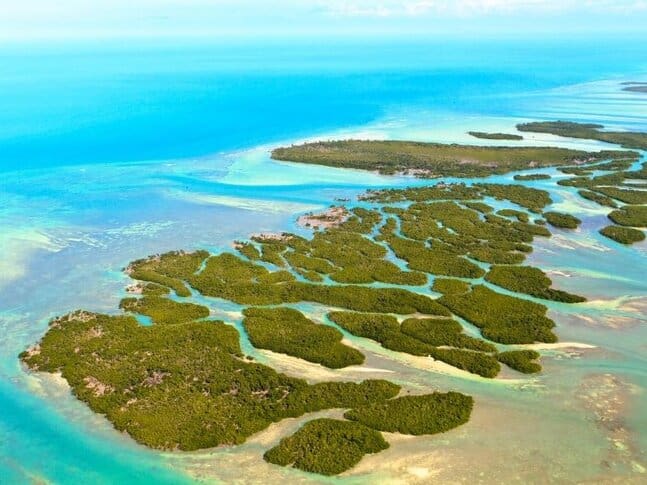 100 Fascinating Facts About Florida: The Sunshine State - Fun World Facts