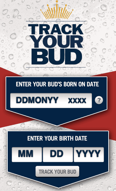 Bud Light Expiration Date Codes | Shelly Lighting
