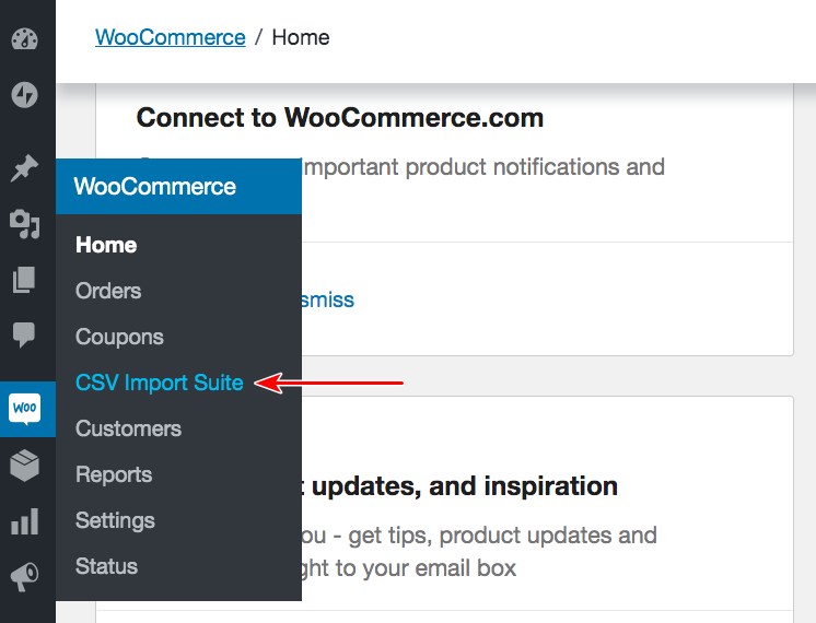How To Import and Export WooCommerce Products (2 Methods)
