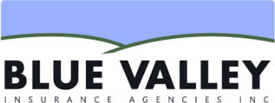 Blue Valley Logo