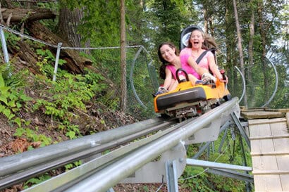 alpine roller coaster tn