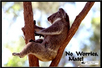 no problem mate yeah