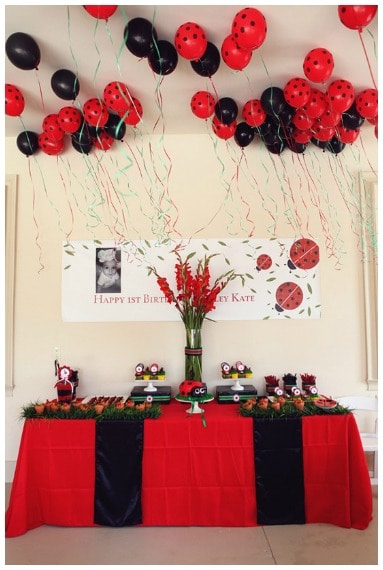 ladybug decorations ideas
