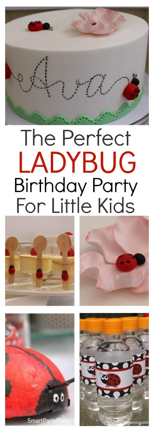 ladybug decoration ideas
