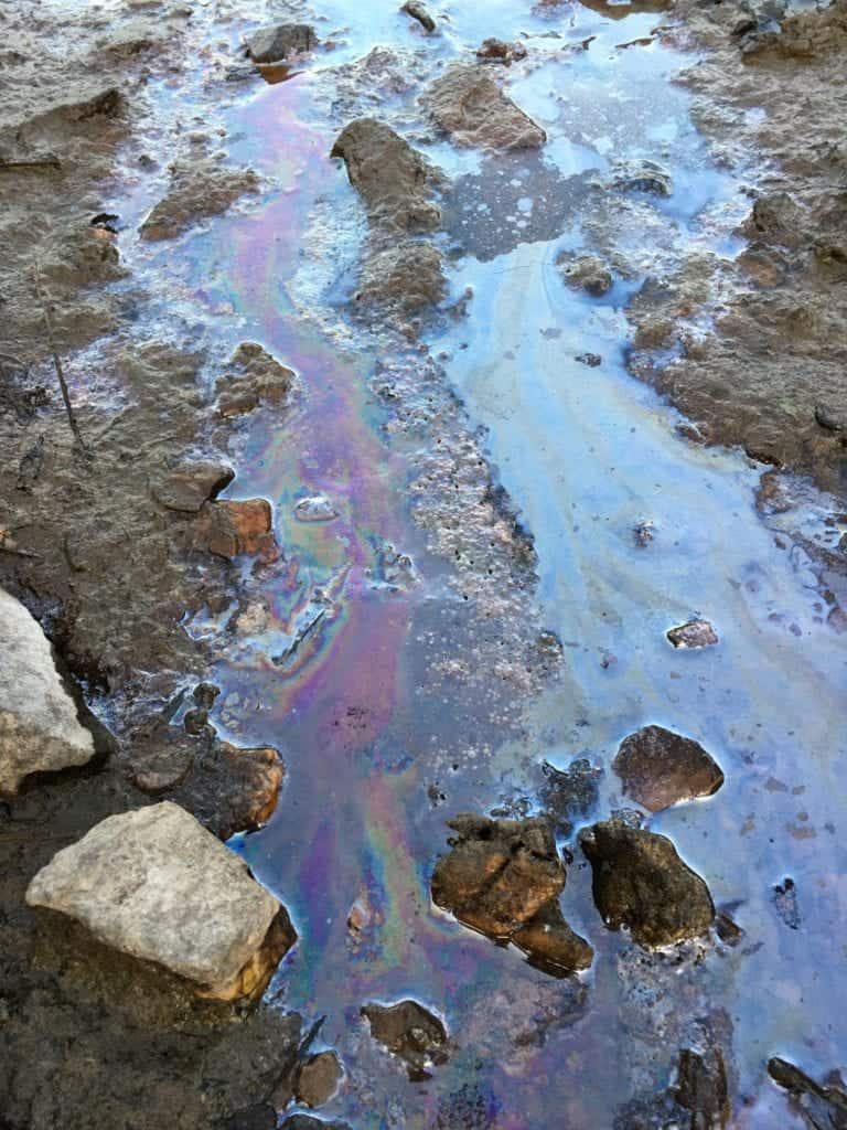 Oil And Water Rainbow